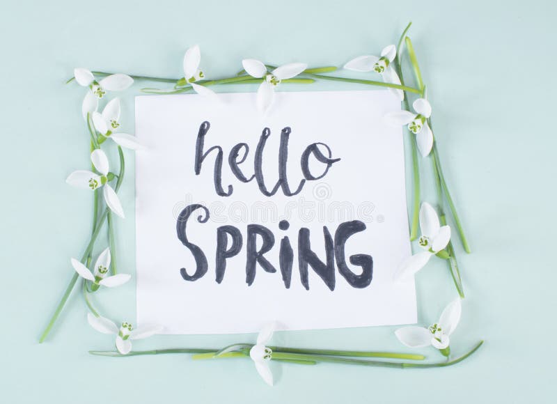 Hello Spring Calligraphy Note Decorated with Snowdrops on Light Stock ...