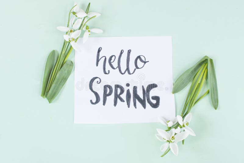 Hello Spring Calligraphy Note Decorated with Snowdrops on Light Stock ...