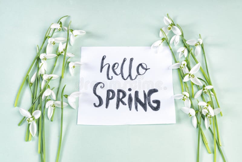 Hello Spring Calligraphy Note Decorated with Snowdrops on Light Stock ...