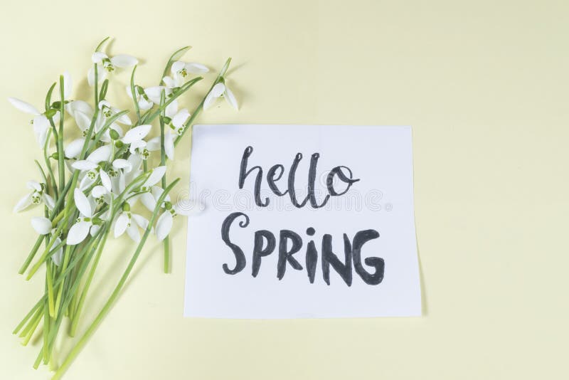 Hello Spring Calligraphy Note Decorated with Snowdrops on Light Stock ...