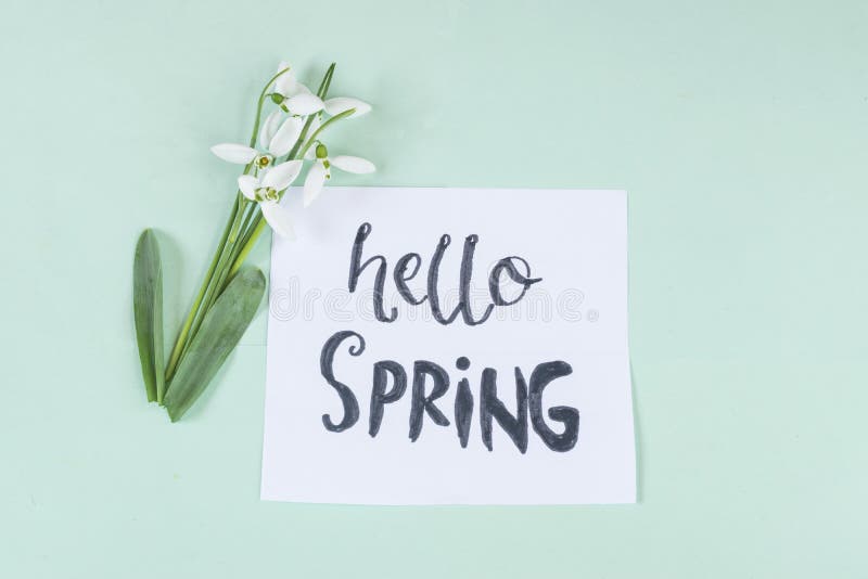 Hello Spring Calligraphy Note Decorated with Snowdrops on Light Stock ...