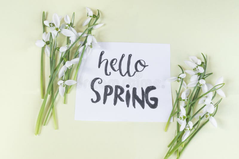 Hello Spring Calligraphy Note Decorated with Snowdrops on Light Stock ...