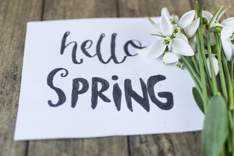 Hello Spring Calligraphy Note Decorated with Snowdrops on Wooden Stock ...