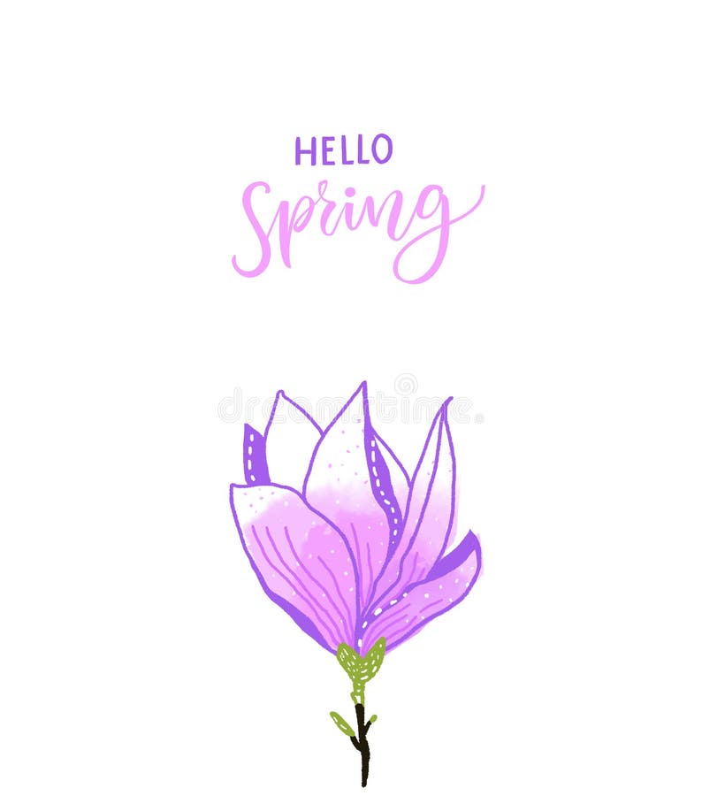 Hello Spring Calligraphy Text and Hand Drawn Magnolia Flower Stock ...