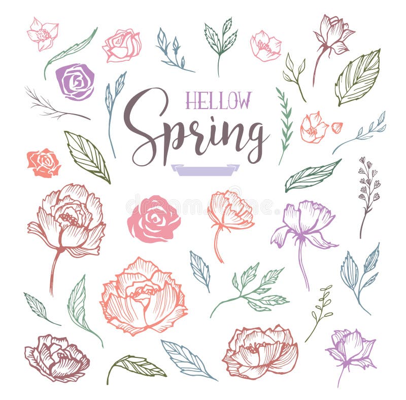 Hello Spring Floral Design Elements Stock Vector - Illustration of ...