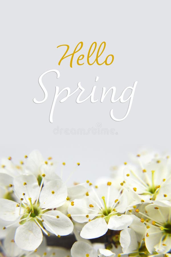 Hello Spring. Spring Flowers Close Up Stock Photo - Image of text, tree ...