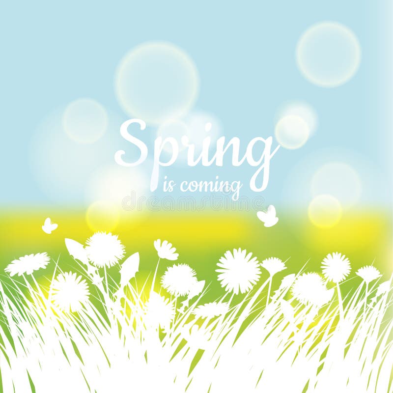 Hello Spring with Green Grass and Chamomile on Green Background. Spring ...