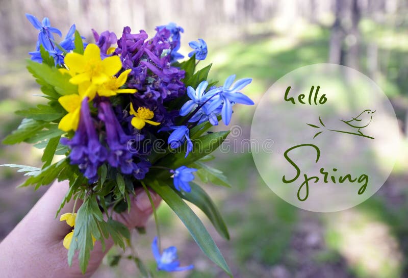 Hello Spring Greeting Card with Hand Holding Bouquet of Colorful First ...
