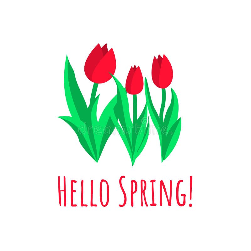 Hello Spring Greeting Card. Spring Tulips Stock Illustration ...