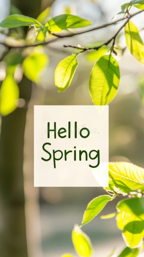 Hello Spring Greeting with Fresh Green Leaves and Blurred Background ...