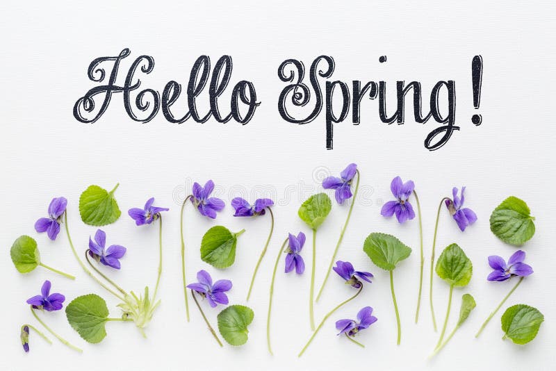 Hello Spring greetings stock photo. Image of spring, flower - 69678560