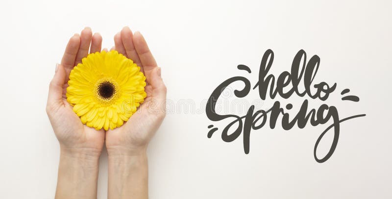Hello Spring Hand with Flower. High Quality Photo Stock Illustration ...