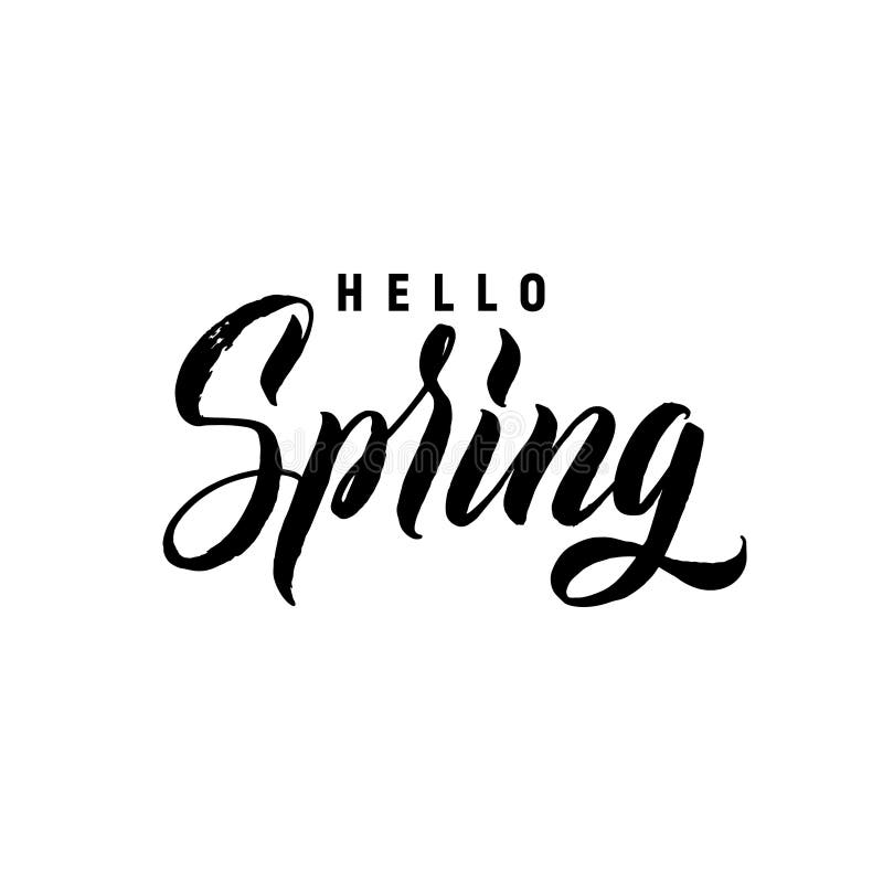Hello Spring Hand Lettering Black Letters White Background Stock Vector ...