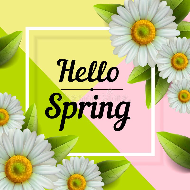 Hello Spring Hand Lettering with Daisy Flower, Vector Image. Stock ...