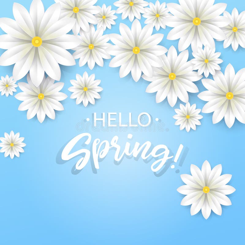 Hello Spring.Hand Lettering with White Flowers Frame.Paper Chamomile on ...