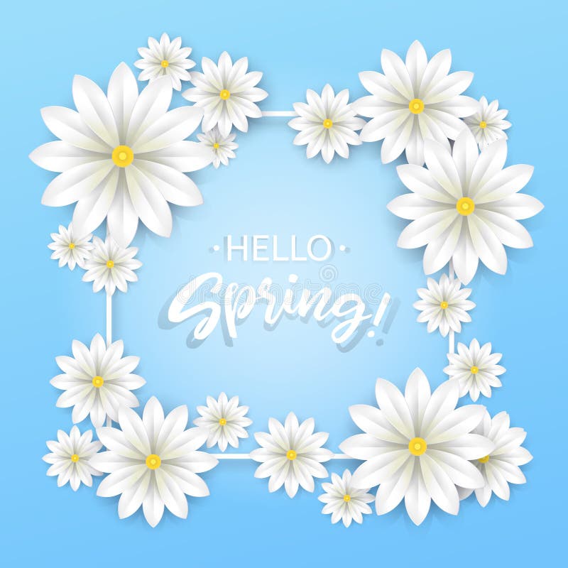 Hello Spring.Hand Lettering with White Flowers Frame.Paper Chamomile on ...