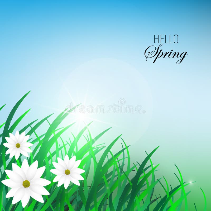 Hello Spring Inscription Made of Grass. Spring Background with Green ...