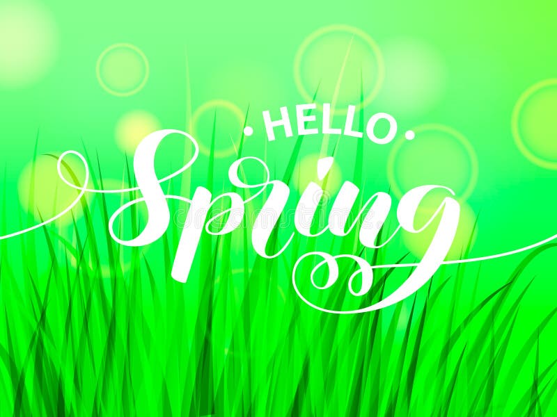 Hello Spring Letering with Green Grass. Vector Illustration Stock ...