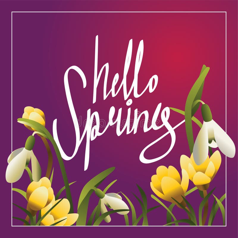 Hello Spring Lettering Postcard or Square Banner Stock Vector ...