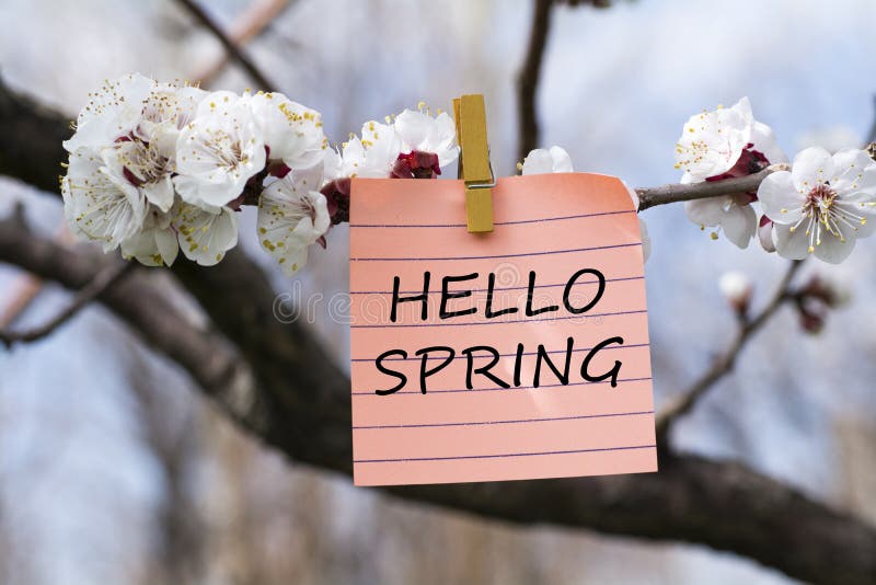 Hello spring in memo stock image. Image of label, black - 114430147