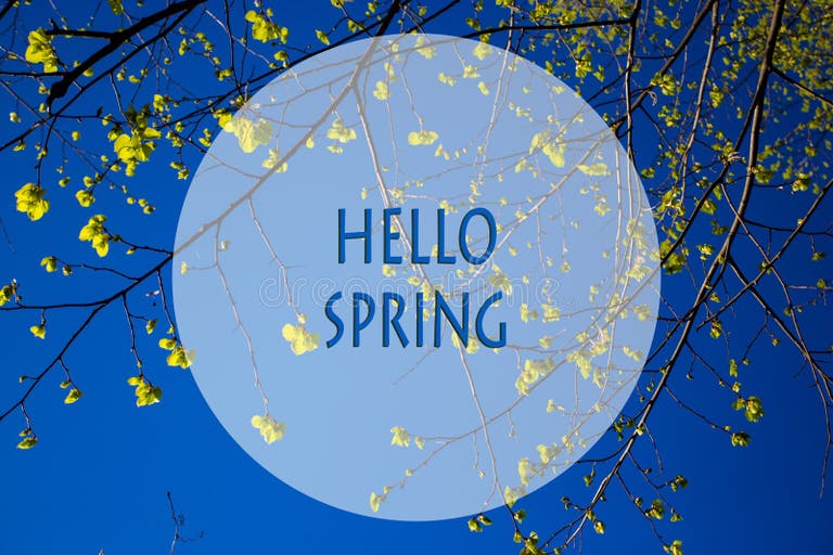Hello Spring, Message on Background of Blue Sky Stock Photo - Image of ...
