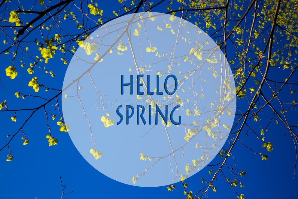 Hello Spring, Message on Background of Blue Sky Stock Photo - Image of ...