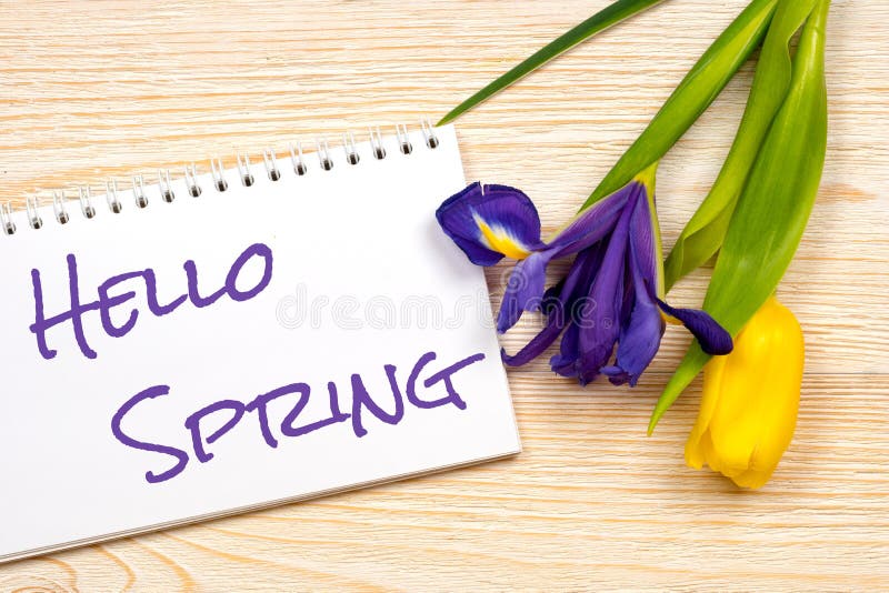 Hello Spring Message Over Post Card Stock Photo - Image of seasonal ...