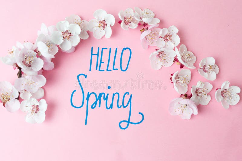 Hello Spring Note with Cherry Blossom Flowers Stock Photo - Image of ...