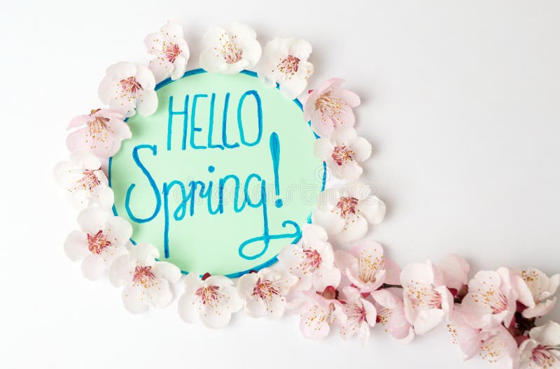 Hello Spring Note with Cherry Blossom Flowers Stock Image - Image of ...
