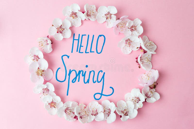 Hello Spring Note with Cherry Blossom Flowers Stock Image - Image of ...
