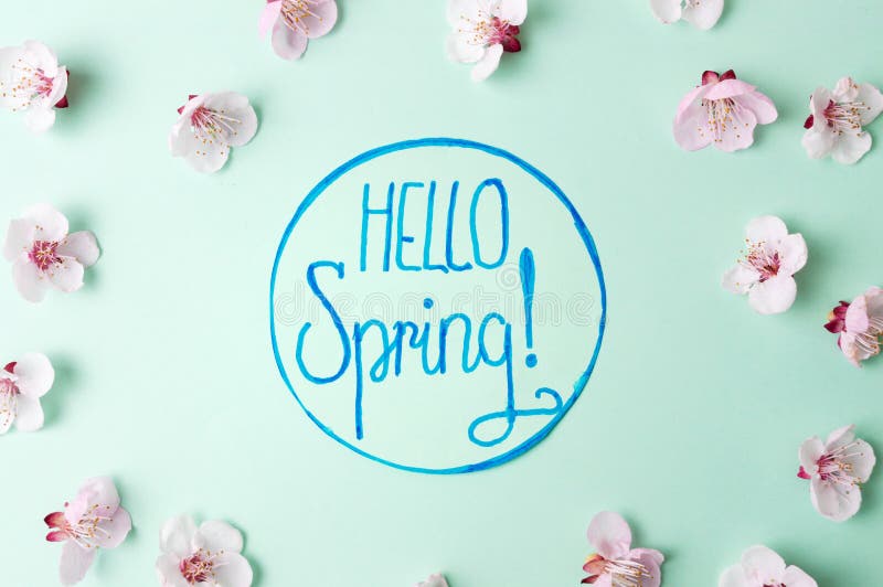 Hello Spring Note with Cherry Blossom Flowers Stock Image - Image of ...