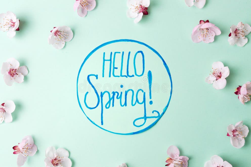 Hello Spring Note with Cherry Blossom Flowers Stock Image - Image of ...