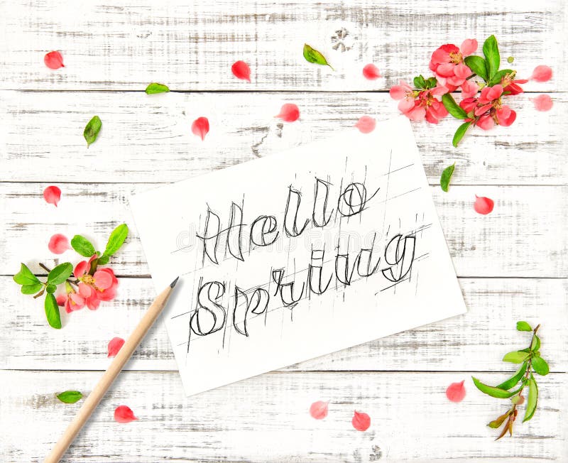 Hello Spring Text Sign on Pink Gerbera on White Wooden Background, Flat ...