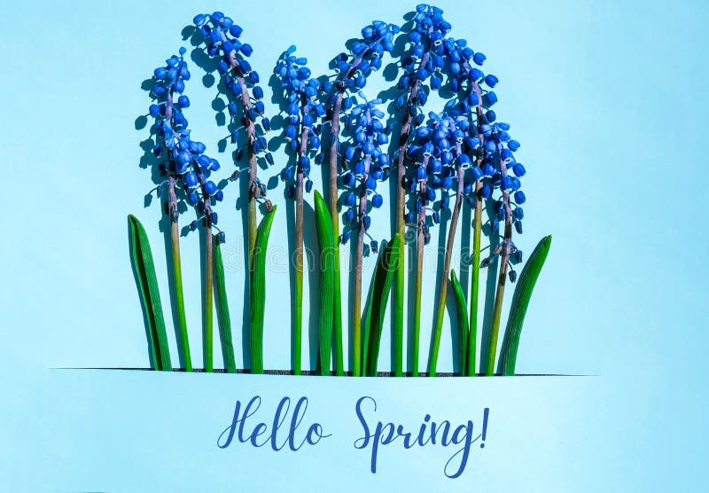 HELLO SPRING Postcard Layout. Spring Modern Still Life Stock Image ...