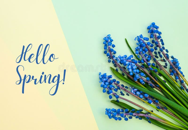 HELLO SPRING Postcard Layout. Spring Modern Still Life Stock Image ...