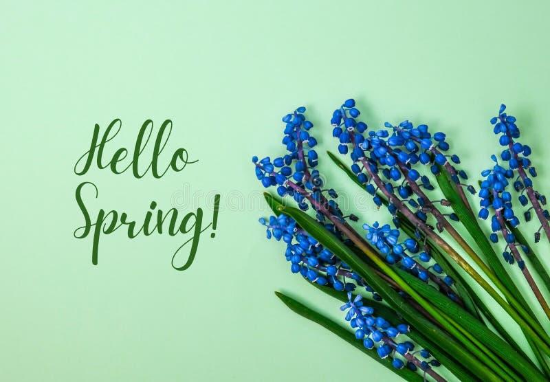 HELLO SPRING Postcard Layout. Spring Modern Still Life Stock Photo ...