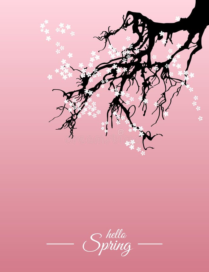 Hello Spring Sakura Greeting Card. Vector Stock Illustration ...