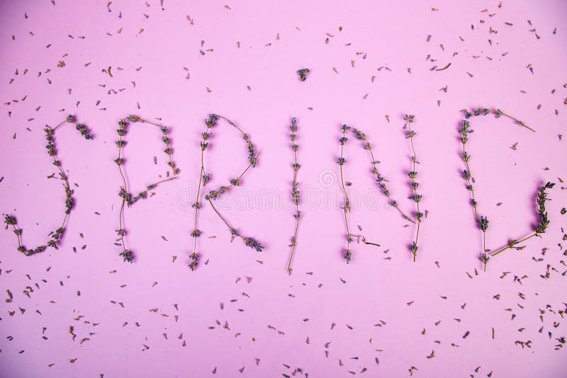 Hello Spring Sign from Flowers. Stylish Pink Wallpaper. Springtime ...