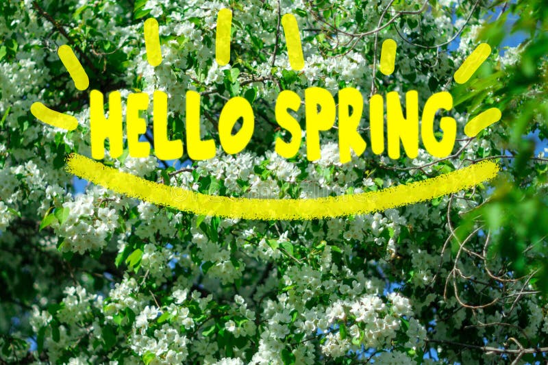 Hello Spring, Sun Shining through the Trees. the Beginning of the ...