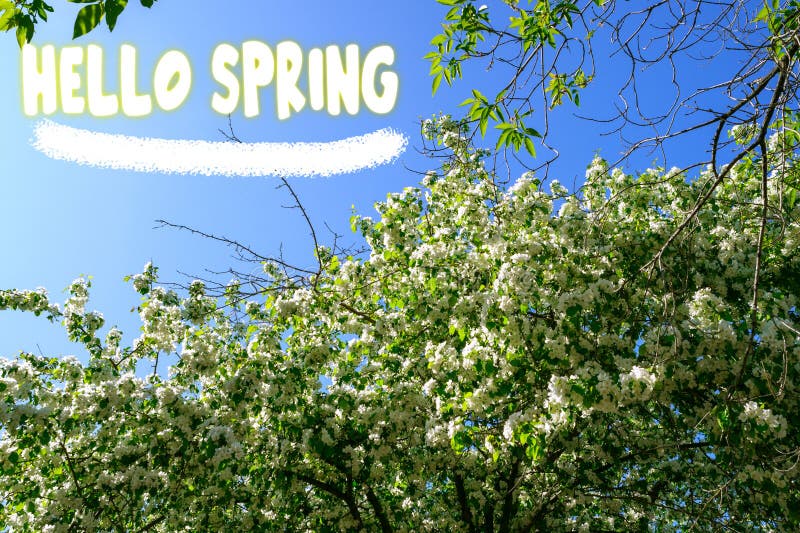 Spring Banner. Hello, Spring. the Beginning of the Spring Season ...