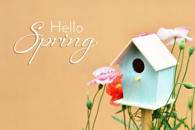 Hello Spring Text, Bird House and Flowers Stock Image - Image of ...