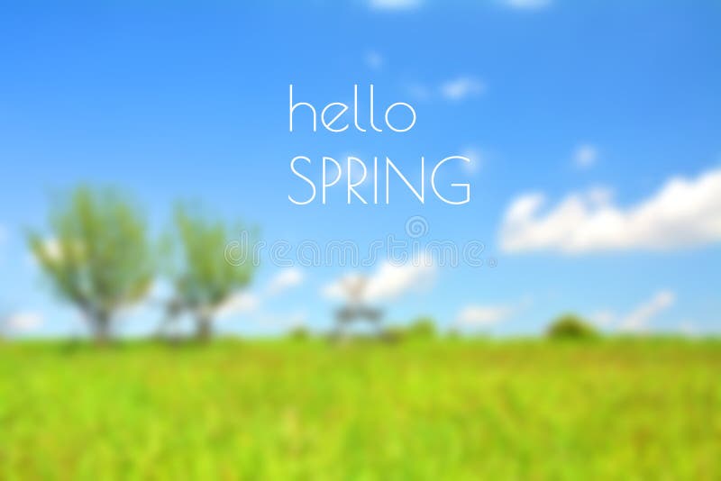 Hello Spring Text Sign on Pink Gerbera on White Wooden Background, Flat ...