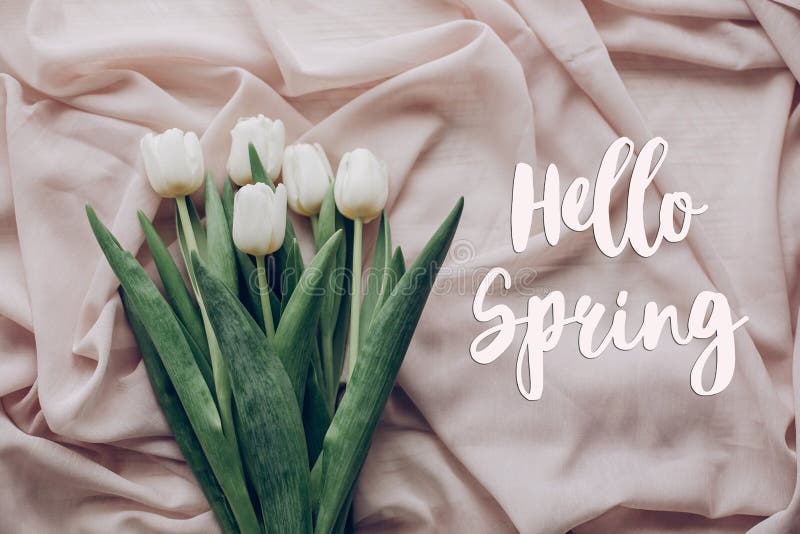 Hello Spring Text Fresh Sign. Instagram Spring Flat Lay Stock Photo ...