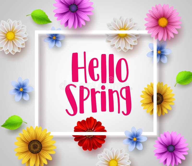 Hello Spring Vector Banner Design with White Boarder, Greeting Text ...