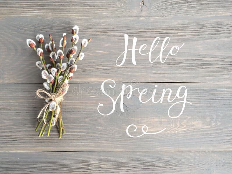 Hello Spring Willow Blossoms Stock Photo - Image of mobile, message ...