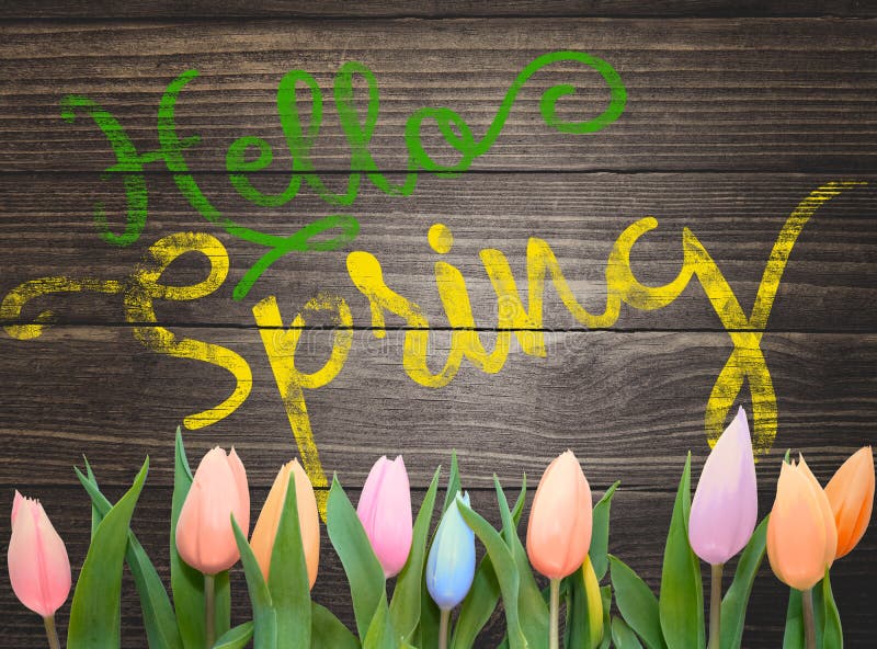 Hello spring stock illustration. Illustration of lettering - 91335330