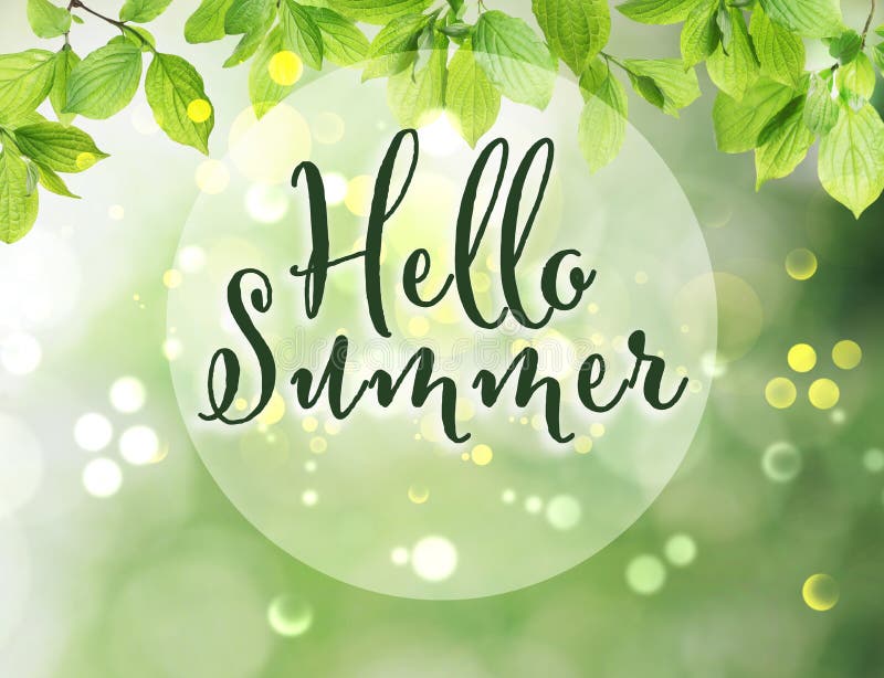 Hello Summer. Beautiful Green Leaves on Blurred Background Stock Photo ...