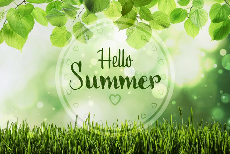 Hello Summer. Fresh Green Grass on Blurred Background Stock Photo ...