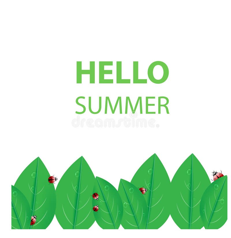 Hello Summer and Ladybug on a Leaf of Grass with Dewdrops - Vector ...
