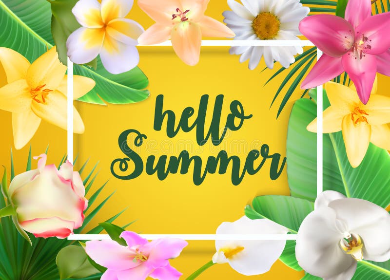 Hello Summer Natural Floral Background with Frame Vector Illustration ...